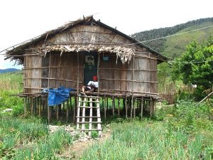 √ Kebudayaan Papua Barat, Rumah, Pakaian, Tarian [Lengkap]-imujio.com